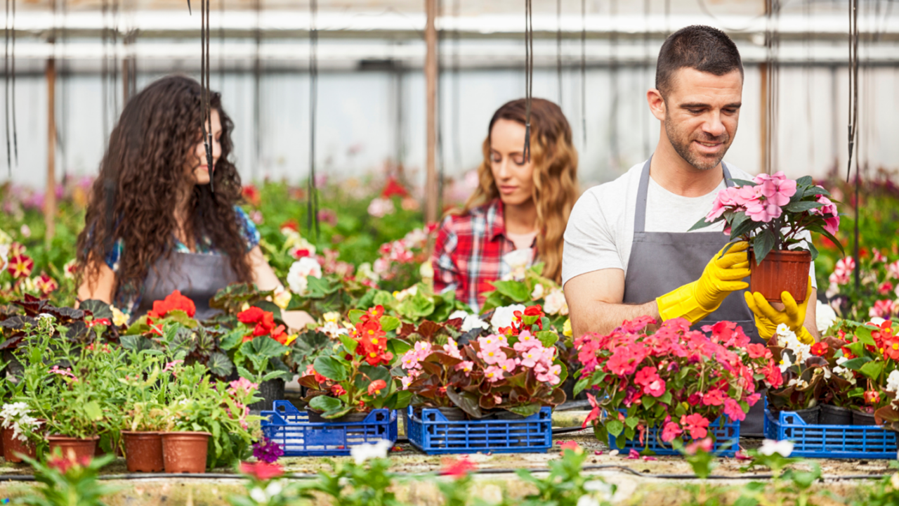 Wellmaster | Greenhouse, Energy, and Water Well Drilling Products