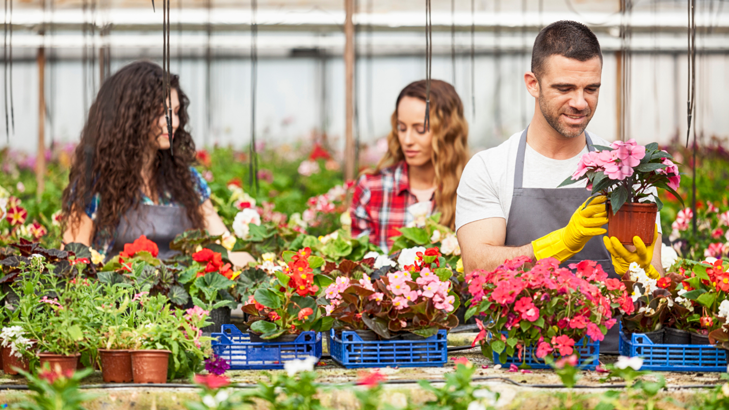 Wellmaster | Greenhouse, Energy, and Water Well Drilling Products