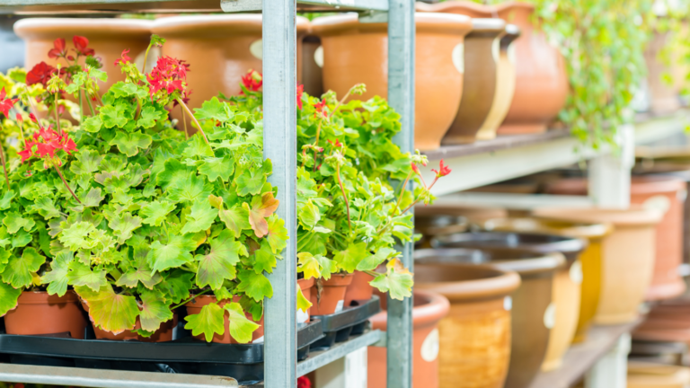 Wellmaster | Greenhouse, Energy, and Water Well Drilling Products